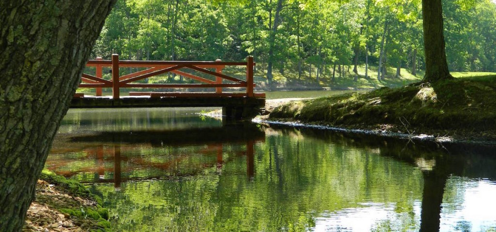 ODNR Reveals Forest Resource Plans For Four State Parks In Southeast ...