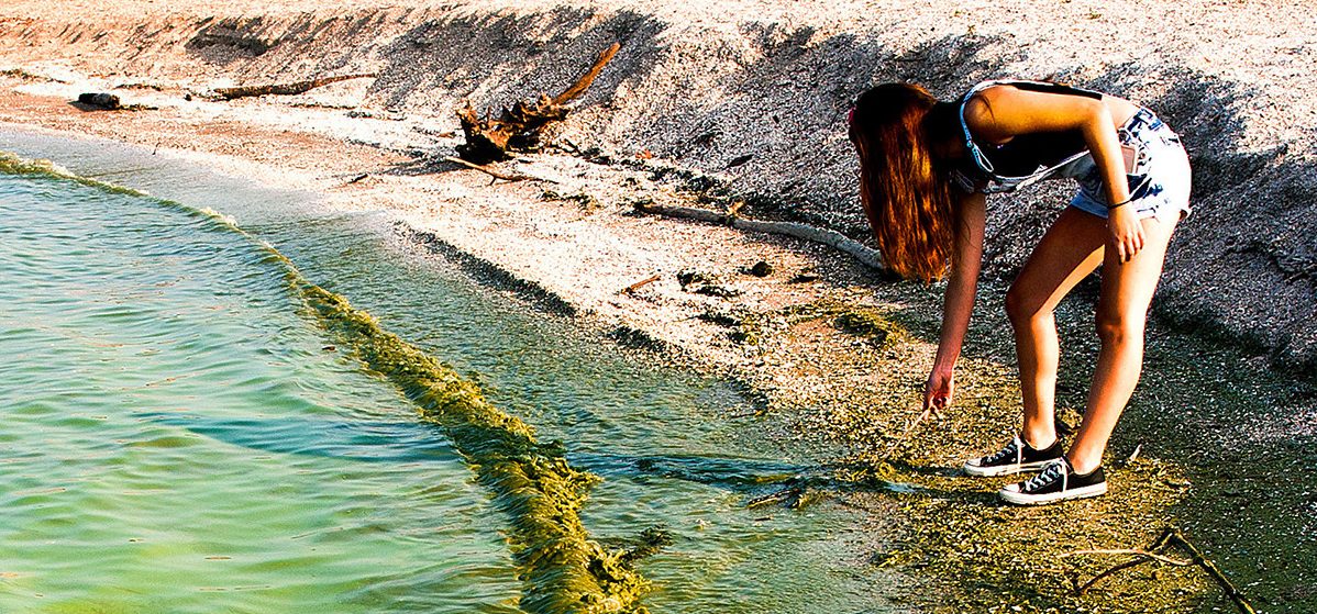 Algae Toxins In Ohio Drinking Water Sickened People In 2 Outbreaks ...