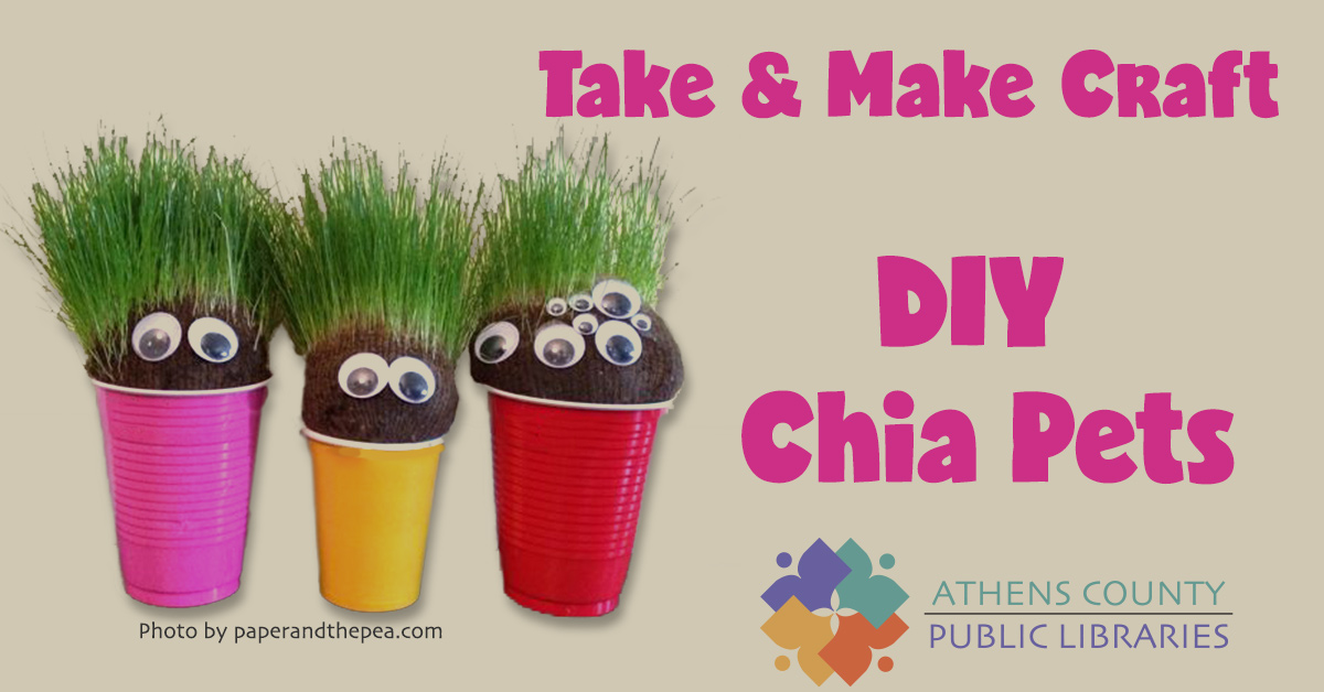 Take and Make Craft DIY Chia Pets WOUB Public Media Take and Make Craft DIY Chia Pets WOUB Public Media