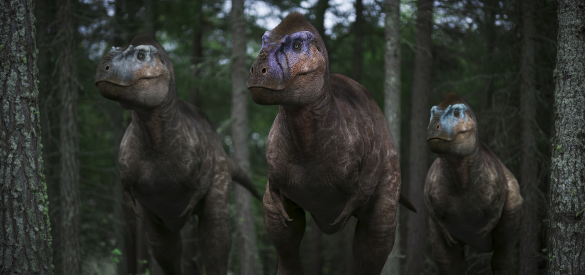 The chase for survival is on as "WALKING WITH DINOSAURS" continues with ...