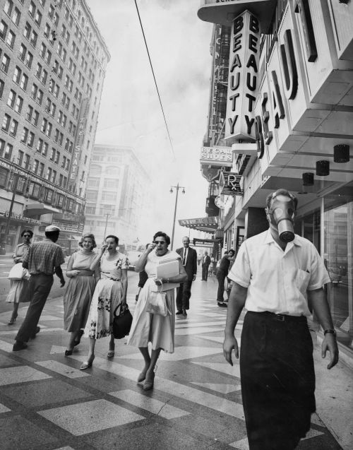 Smog and the Clean Air Act on AMERICAN EXPERIENCE "Clearing the Air ...