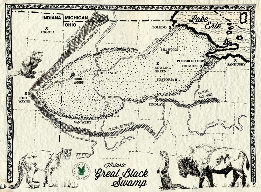 Could swamp-ifying northwest Ohio help curb toxic algal blooms? - WOUB ...